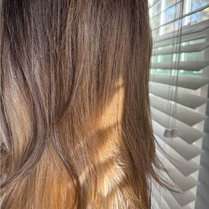 wigs for evry woman | Hair | Heather Dye Wigs For Every Woman | Poshmark